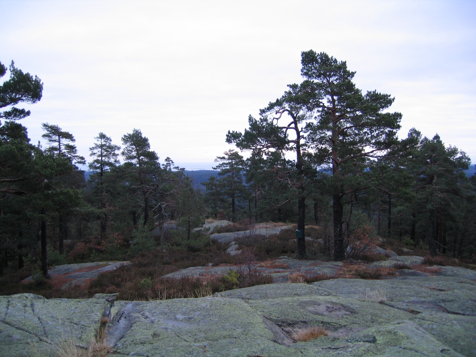 Hørsfjell - Bamble highest mountain - Nature trails in Stathelle ...