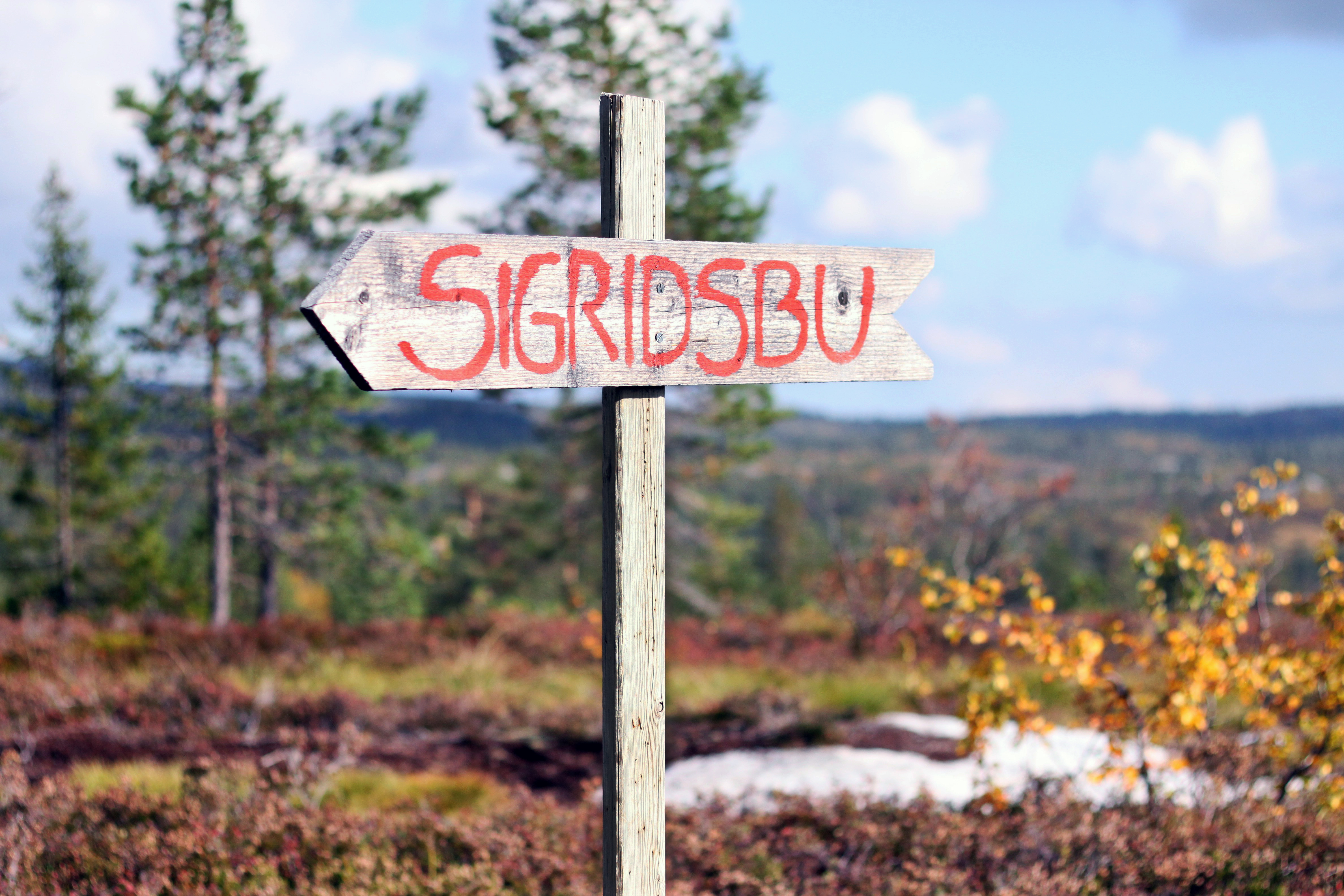 Blefjell Mountain - Hiking in Notodden - notodden