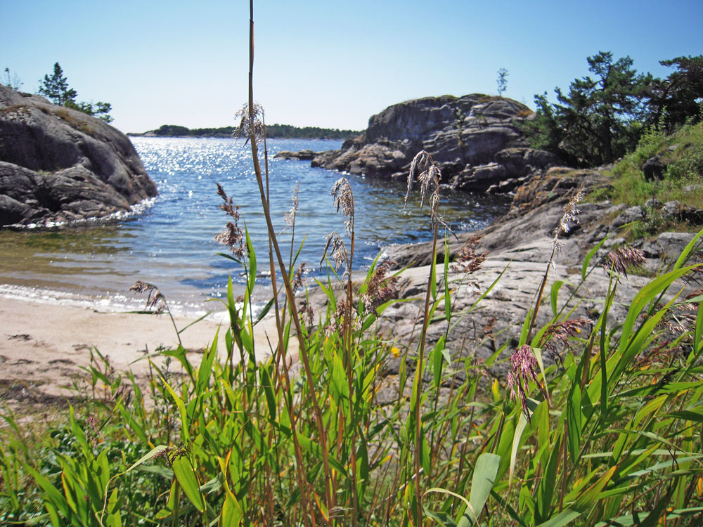 HIking along the coastal path in Bamble: Åby - Trosby - Coastal trails ...