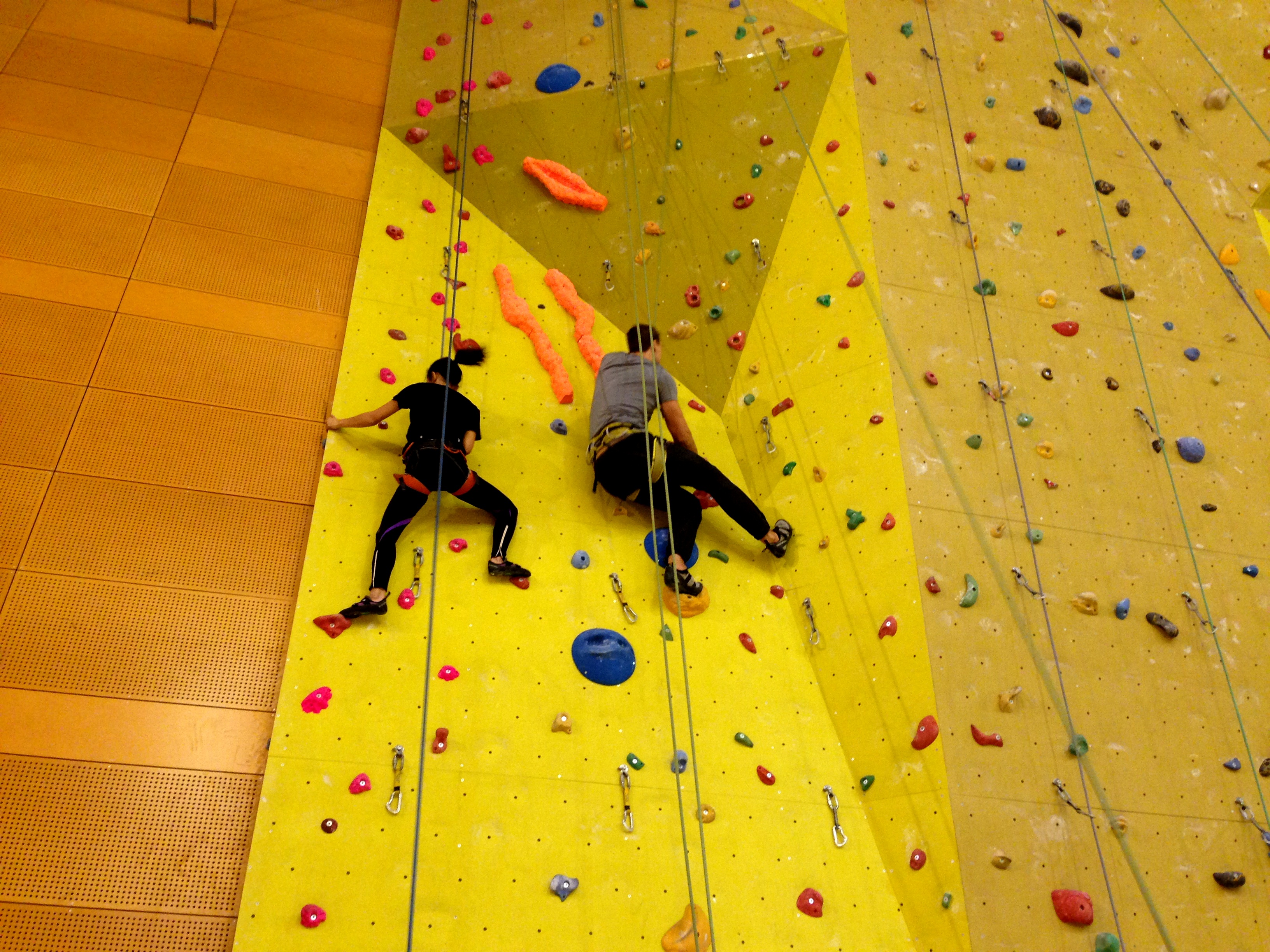 Climbing wall - Skien fritidspark - Climbing in Skien, Skien - Skien