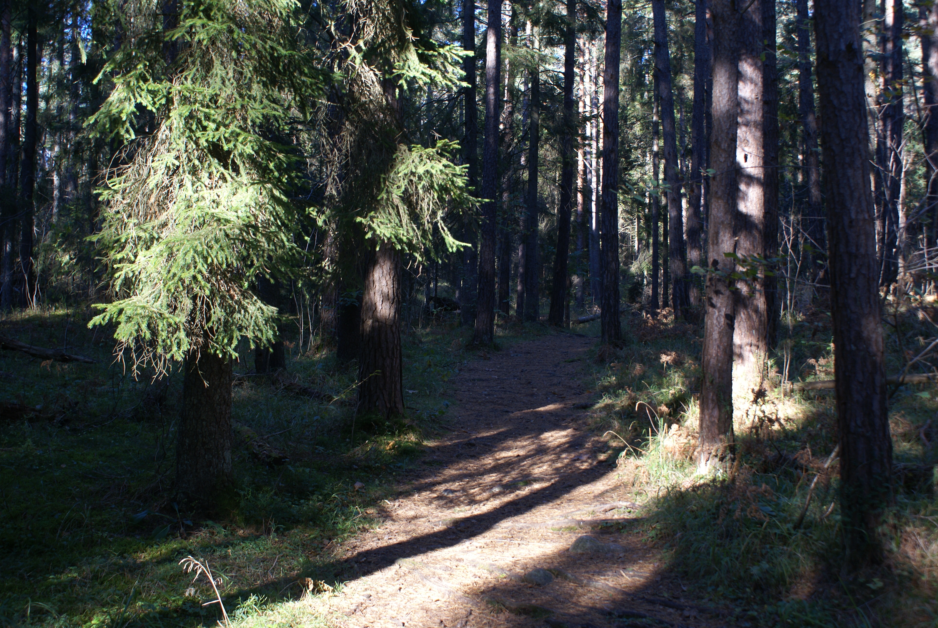 The Coastal Path - Bamble - Coastal trails in Stathelle, Bamble - Bamble