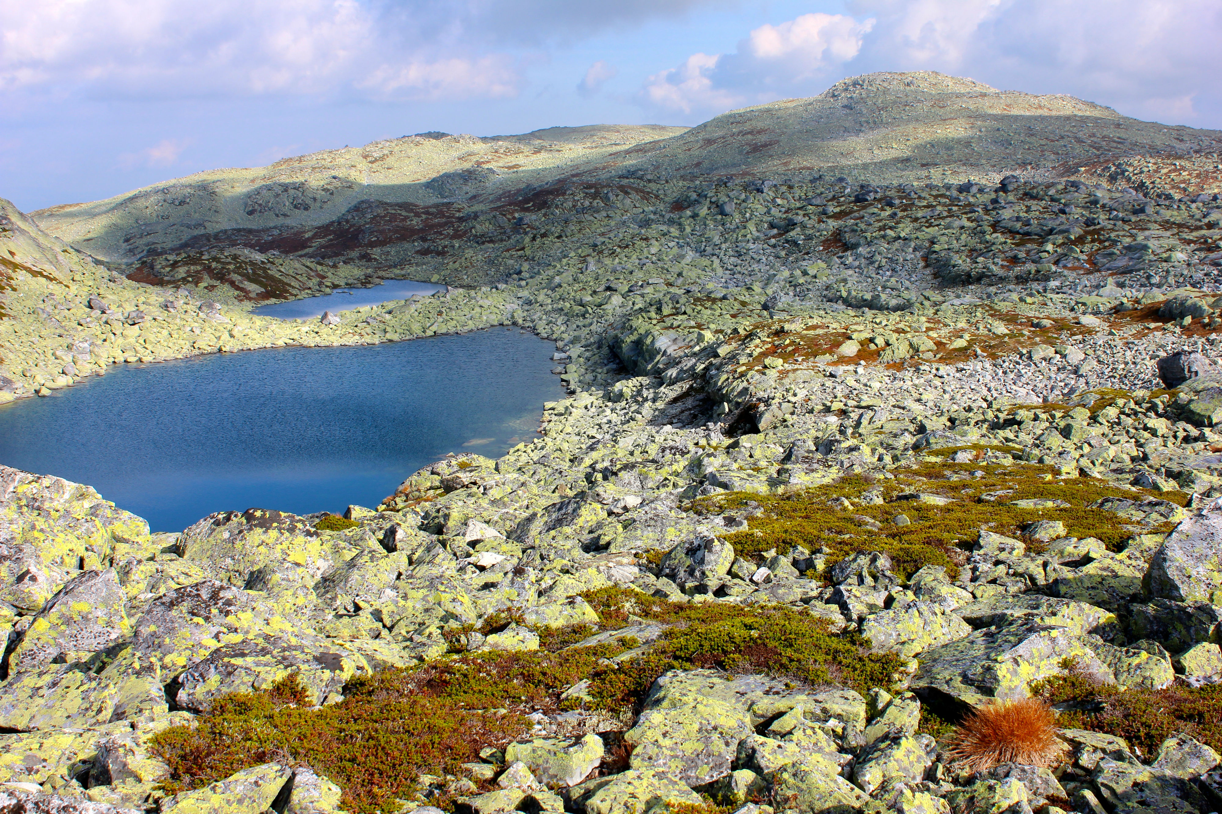 Lifjell mountain plateau - Hiking in BØ I TELEMARK, Bø i Telemark ...