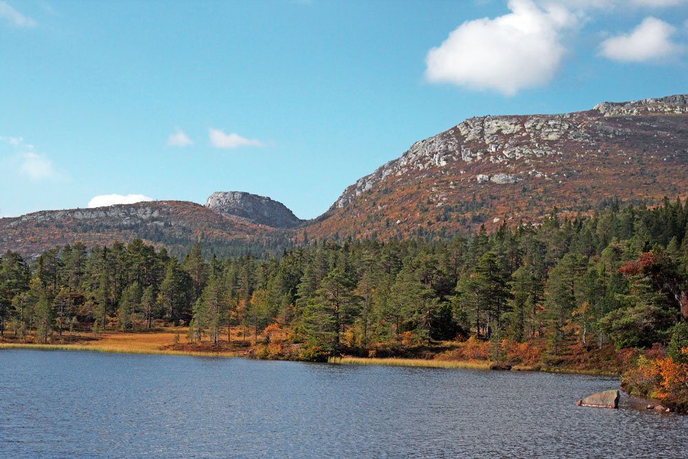 Blefjell Mountain - Hiking in Notodden - notodden