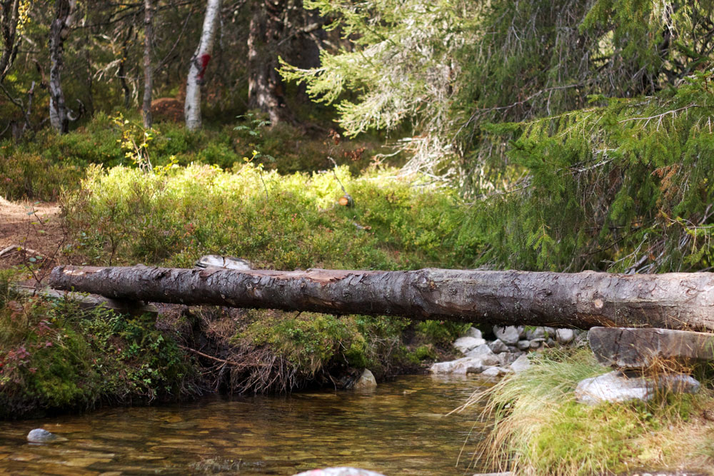 Blefjell Mountain - Hiking in Notodden - notodden