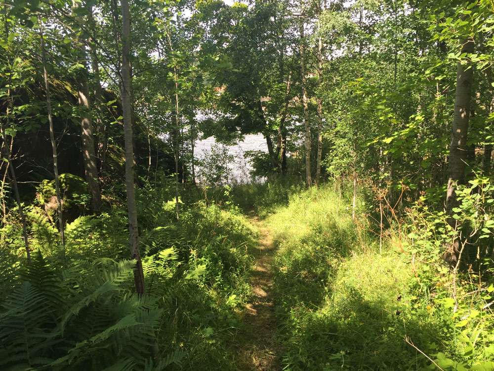 Hiking at Sandøya - Nature trails in Brevik, Porsgrunn - Porsgrunn