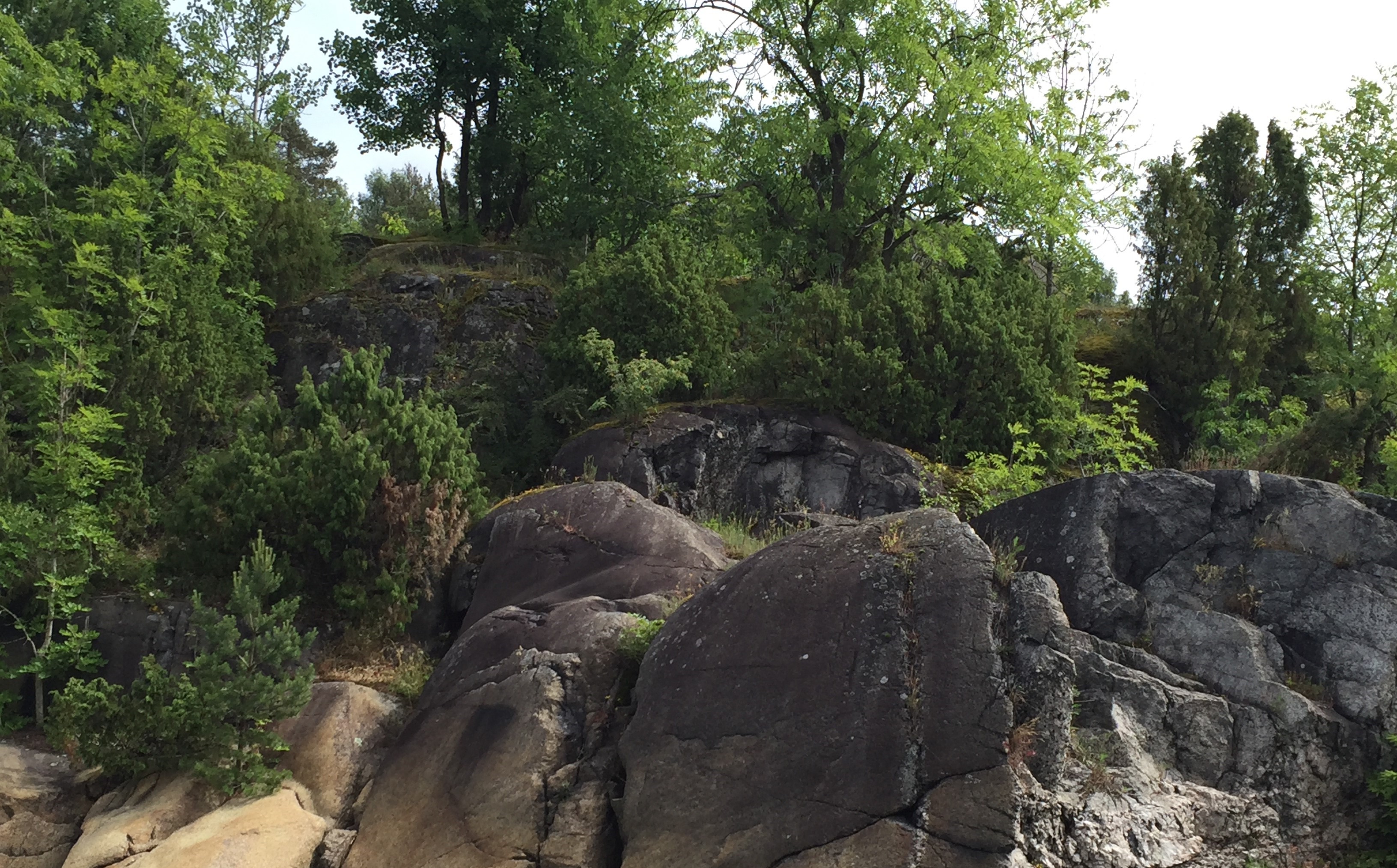 Hiking at Sandøya - Nature trails in Brevik, Porsgrunn - Porsgrunn