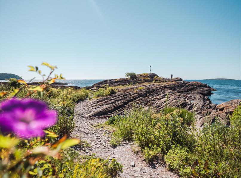 Welcome to Bamble - Bamble