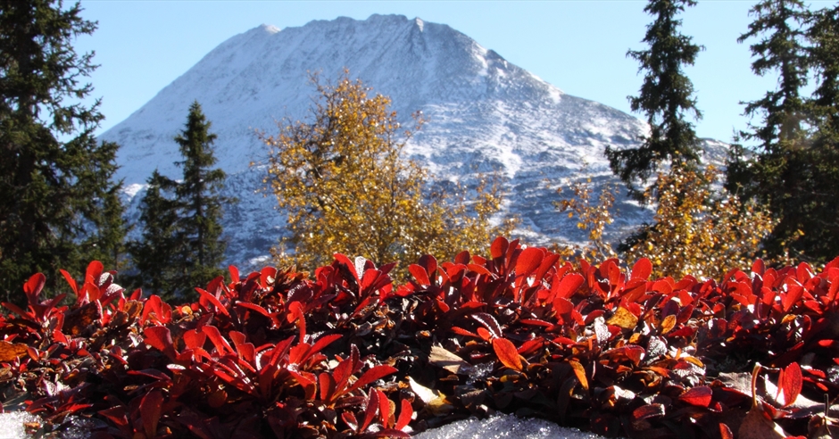 The Norwegian Mountain Code - vandretelemark