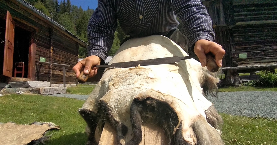 Garving av skinn med museumsbonden - Museum events