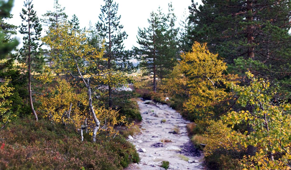 Blefjell Mountain - Hiking in Notodden - notodden